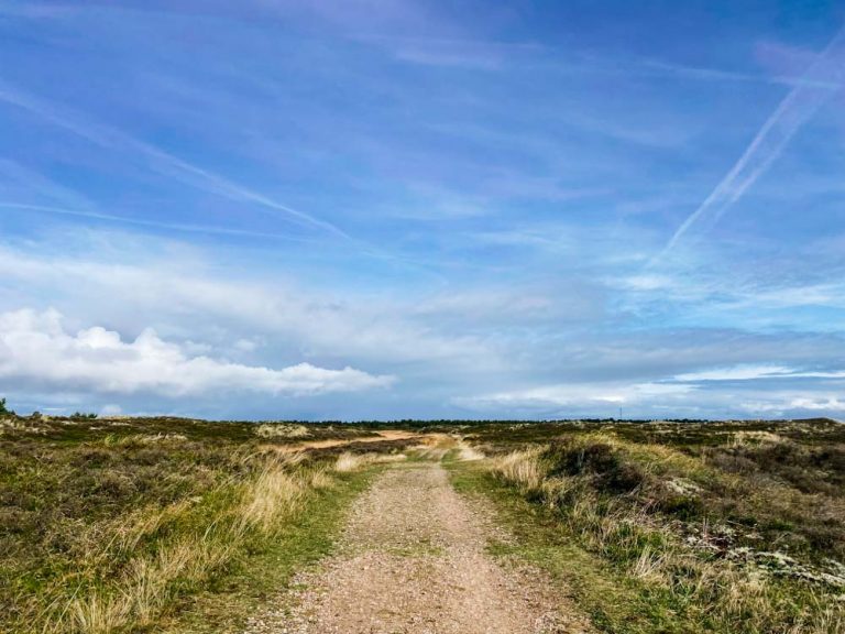 Meine besten Tipps für deinen Urlaub auf der Insel Rømø