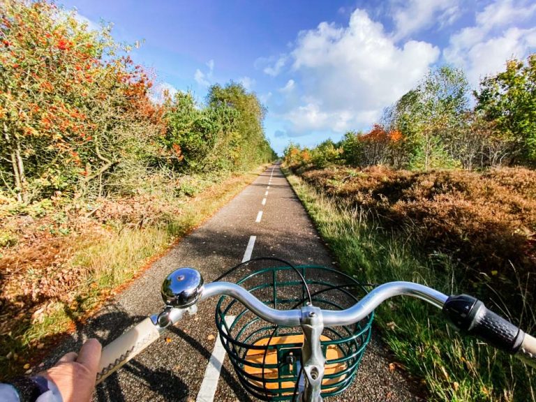 Meine besten Tipps für deinen Urlaub auf der Insel Rømø