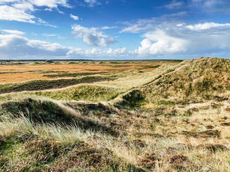 Meine besten Tipps für deinen Urlaub auf der Insel Rømø