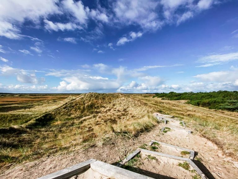 Meine besten Tipps für deinen Urlaub auf der Insel Rømø